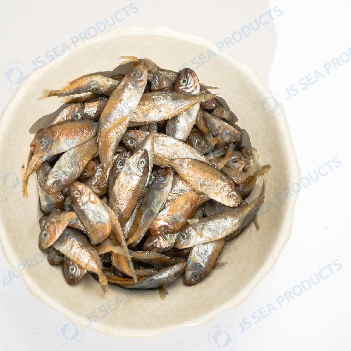 Padas | JS SEA PRODUCTS